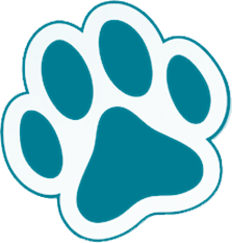 Home - Cat Dog & Cia